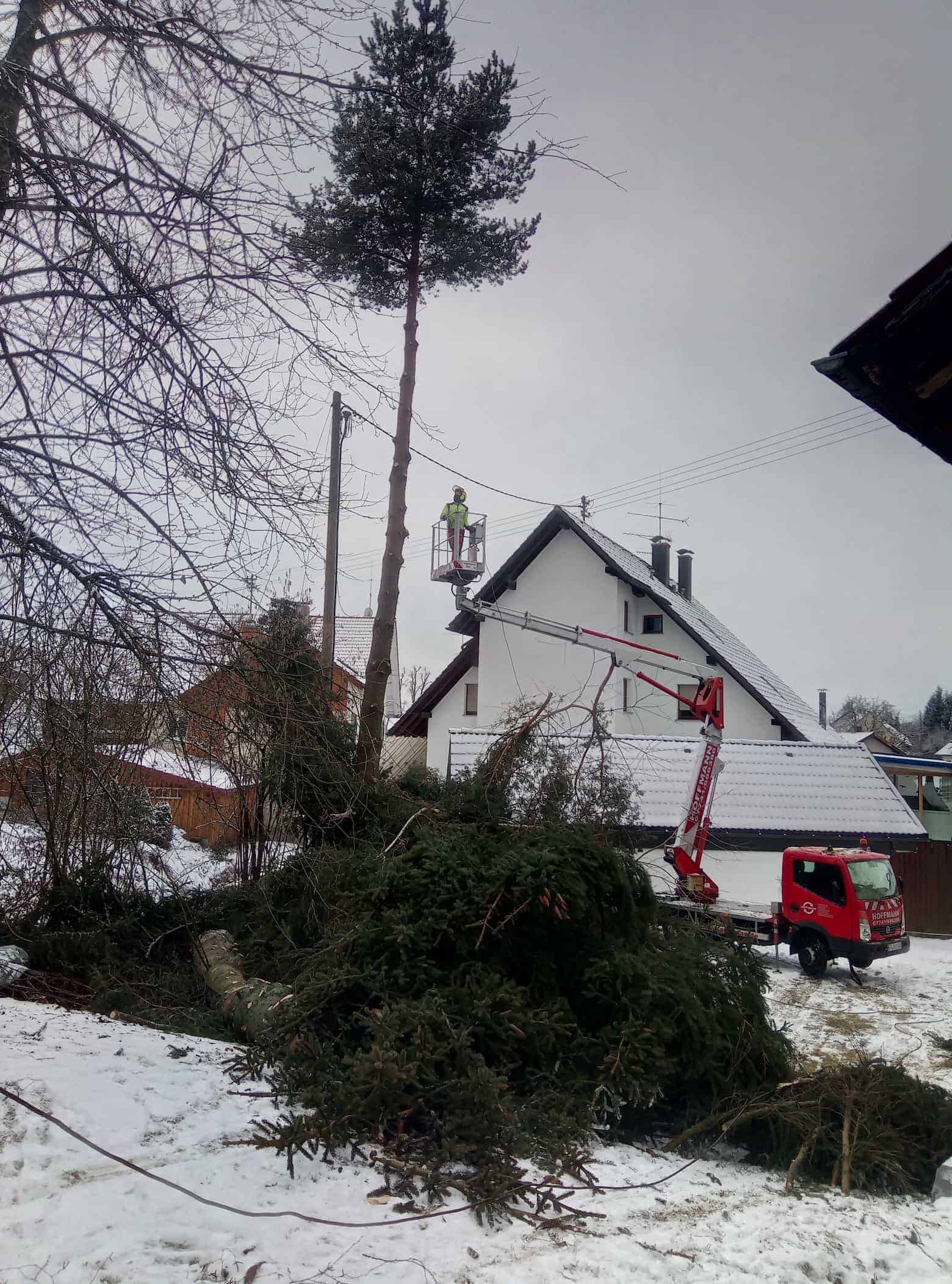 FORSTBETRIEB Robert Tröndle – Unser Schwarzwald in guten Händen.