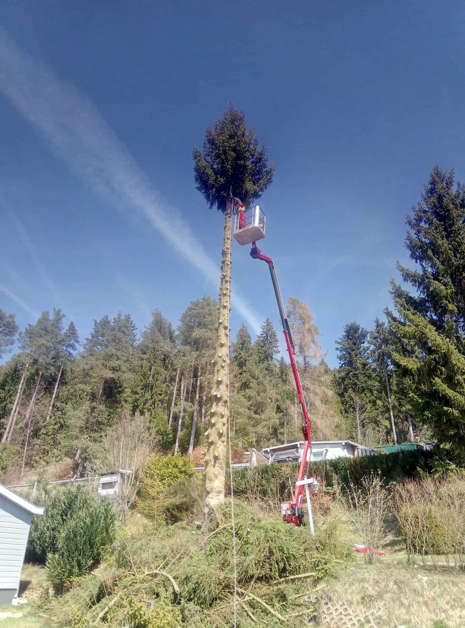 FORSTBETRIEB Robert Tröndle – Unser Schwarzwald in guten Händen.